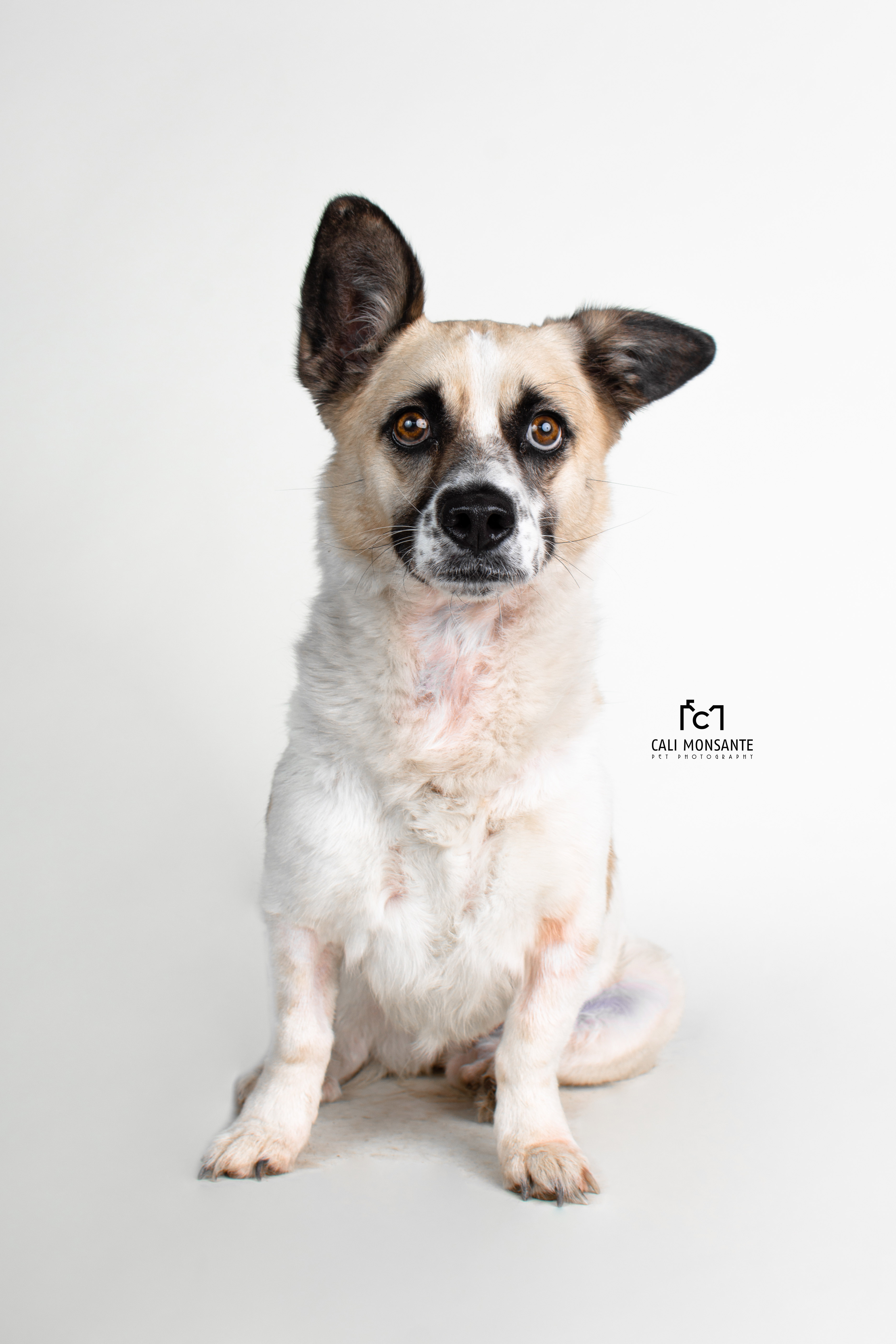 Voz Animal | Mafalda